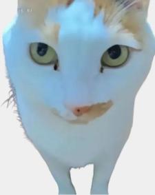 [流言板]上半场防守方AQ 8-4 DRG进攻方，双方换边比赛来到下半场-无畏契约-虎扑社区