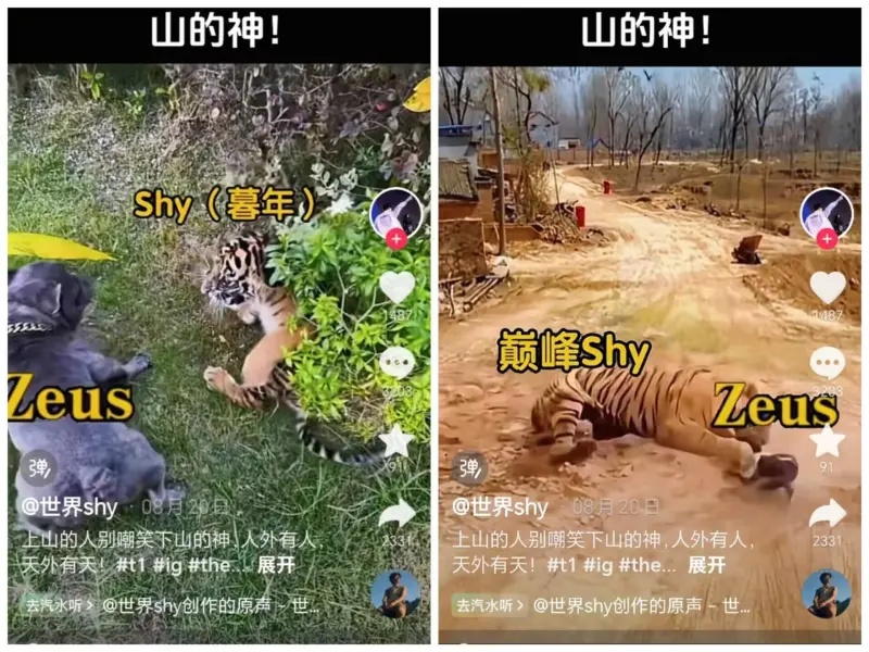 [韩网翻译]Zeus：S13决赛想过如果再拿亚军该怎么办-英雄联盟丨LPL-虎扑社区